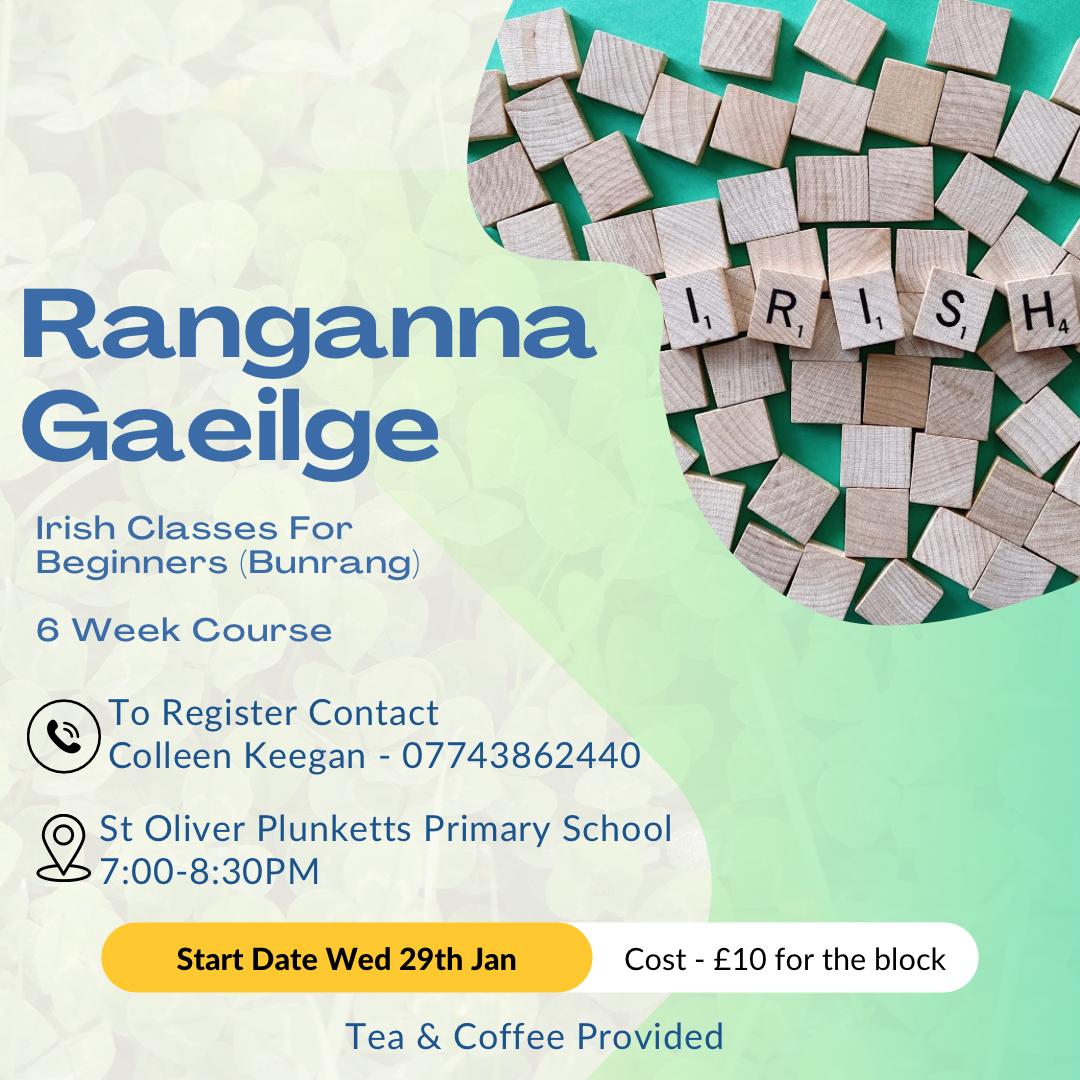 Adult Irish Classes